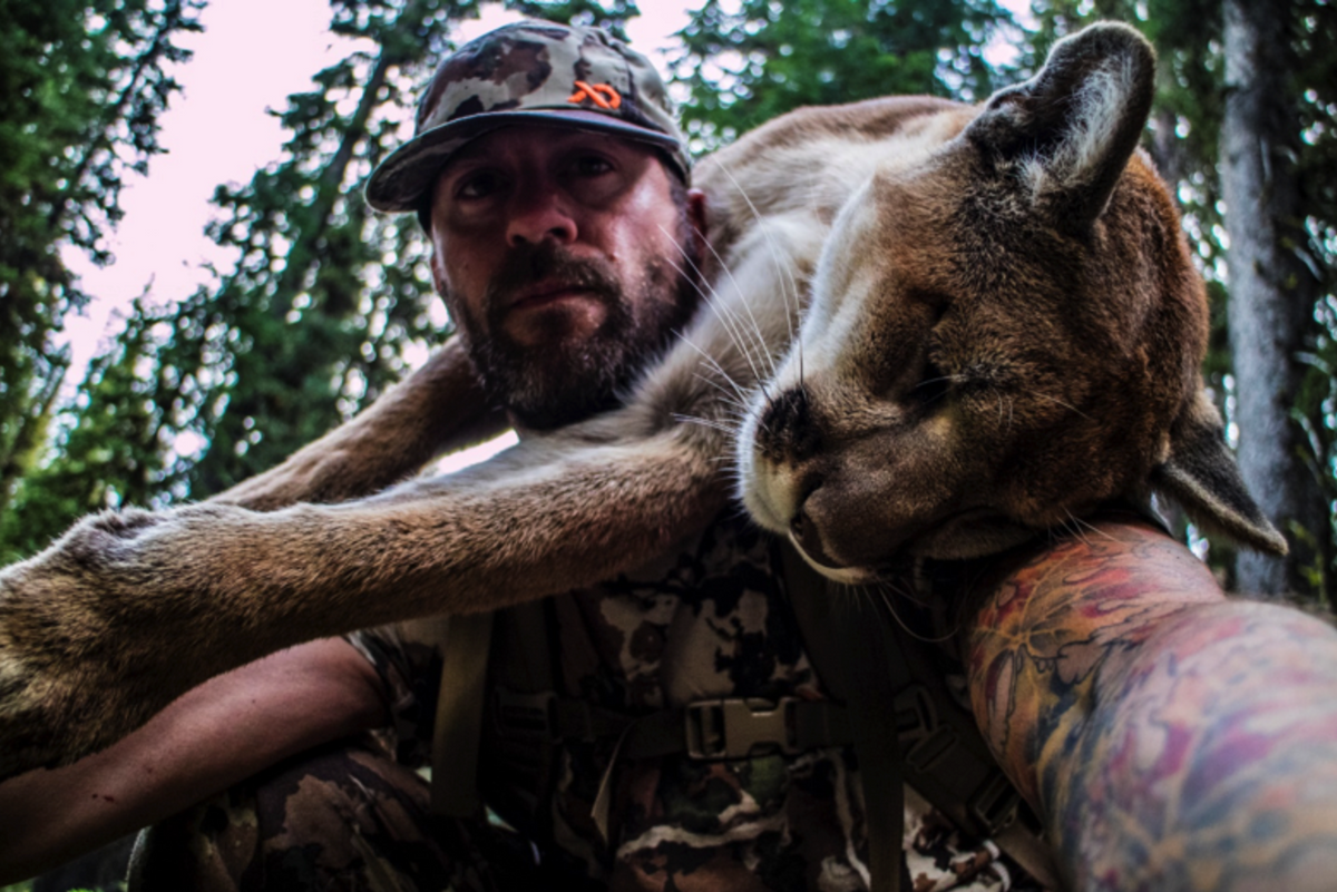 Mountain Lion Shot